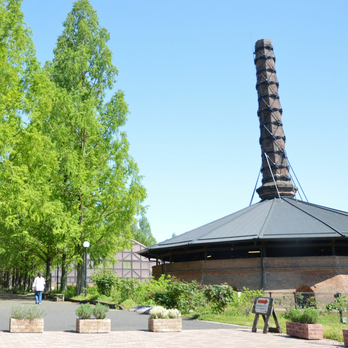 新緑のメタセコイア並木 青空背に煉瓦窯と共演 野木｜地域の話題,県内主要｜下野新聞デジタルニュース｜下野新聞デジタル