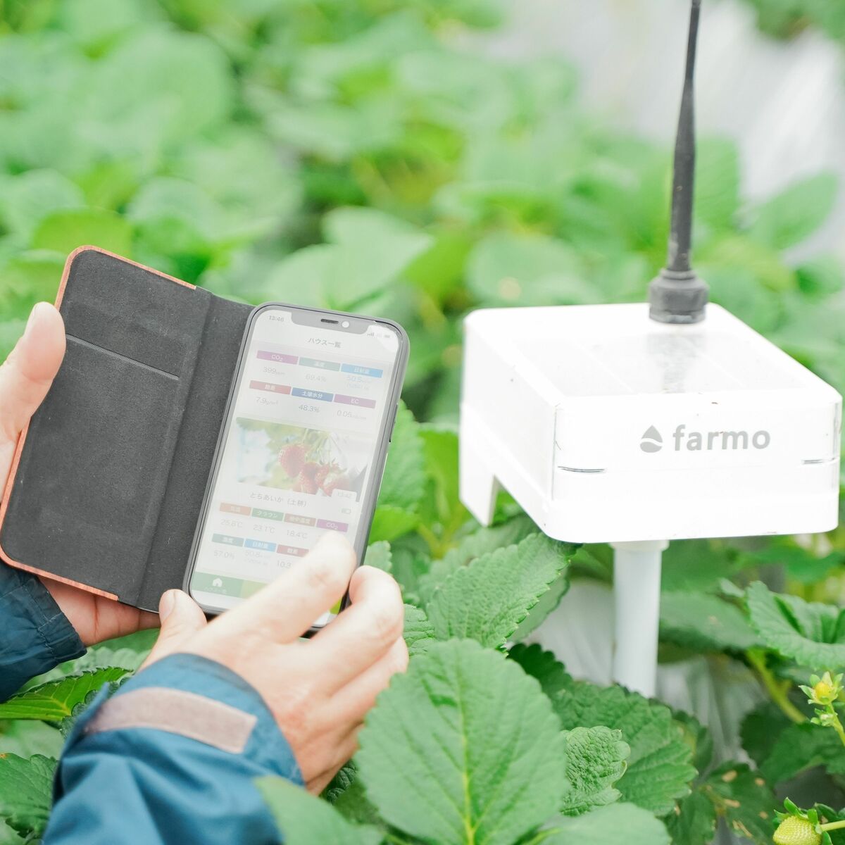 スマート農業 最新技術を身近に 宇都宮のfarmo 日本ハム新球場に学習施設｜県内主要,経済,速報｜下野新聞デジタルニュース｜下野新聞デジタル