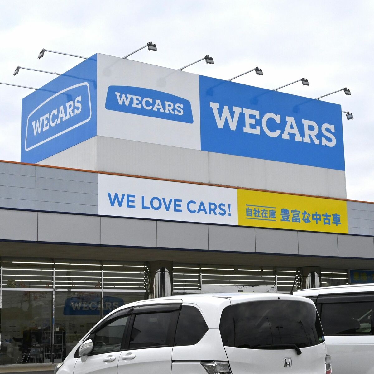 ビッグモーター事業継承の「WECARS」が新看板設置 栃木県内初、宇都宮南店で｜県内主要,経済,速報｜下野新聞デジタルニュース｜下野新聞デジタル